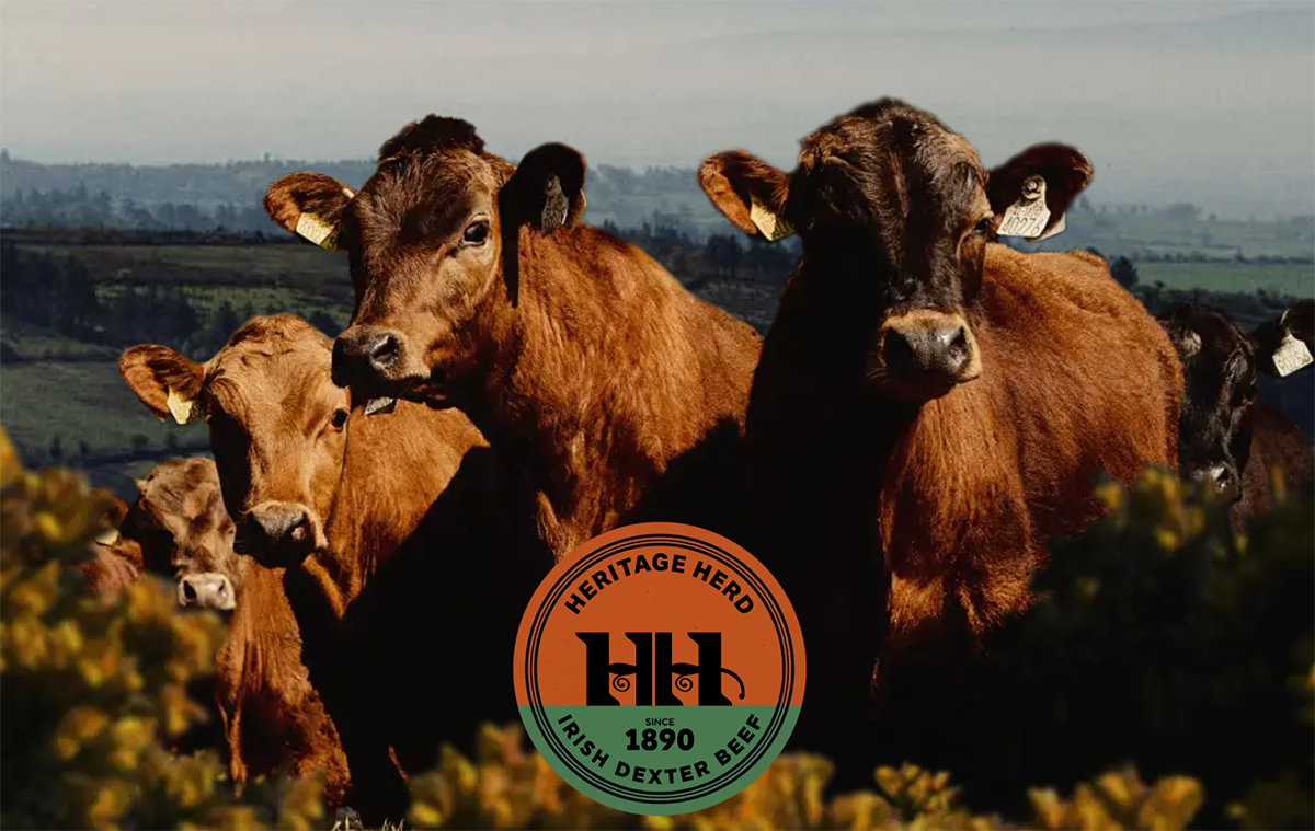 Heritage Herd | Irish Dexter Beef | Native Breed, Exceptional Taste